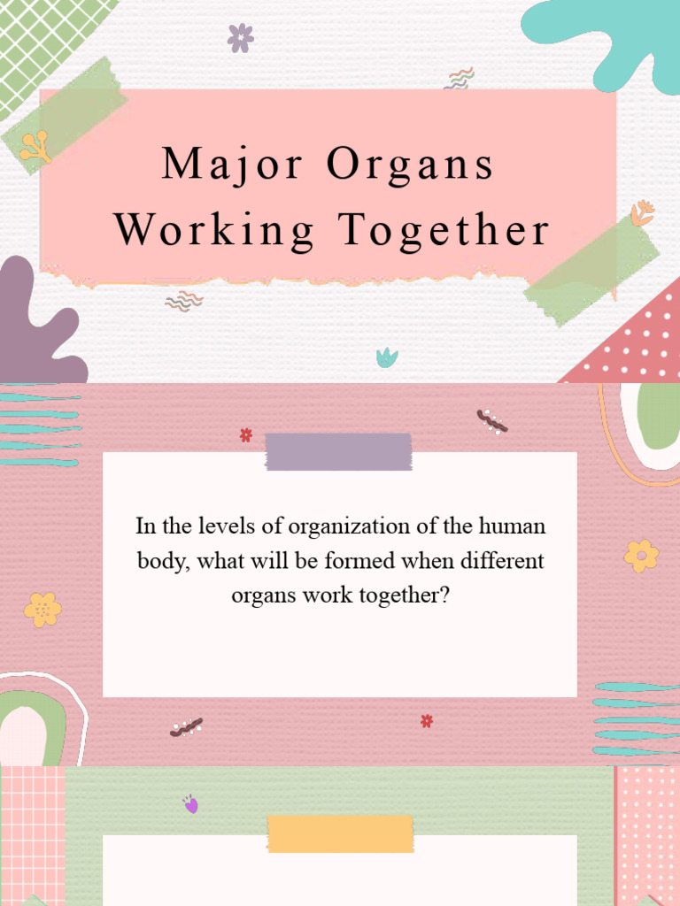 Quarter 2-Week 2 - Lesson 2-Major Organs Working Together | PDF | Wellness