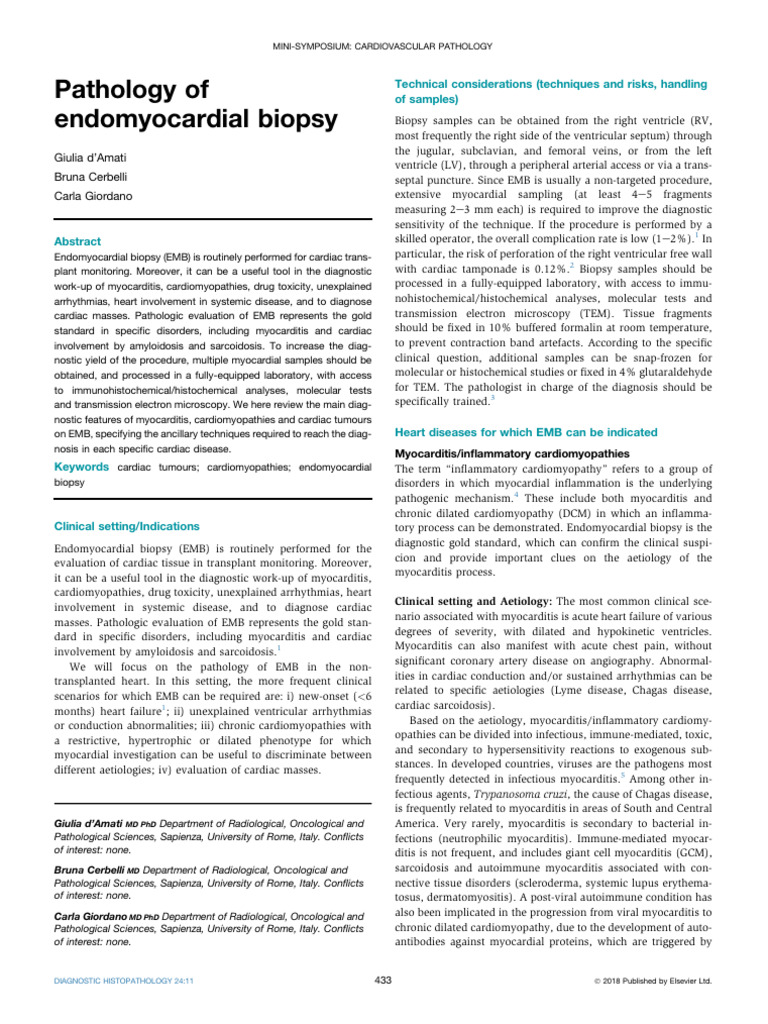 Endomyocardial Biopsy Pathology Insights | PDF | Heart | Cardiac Muscle
