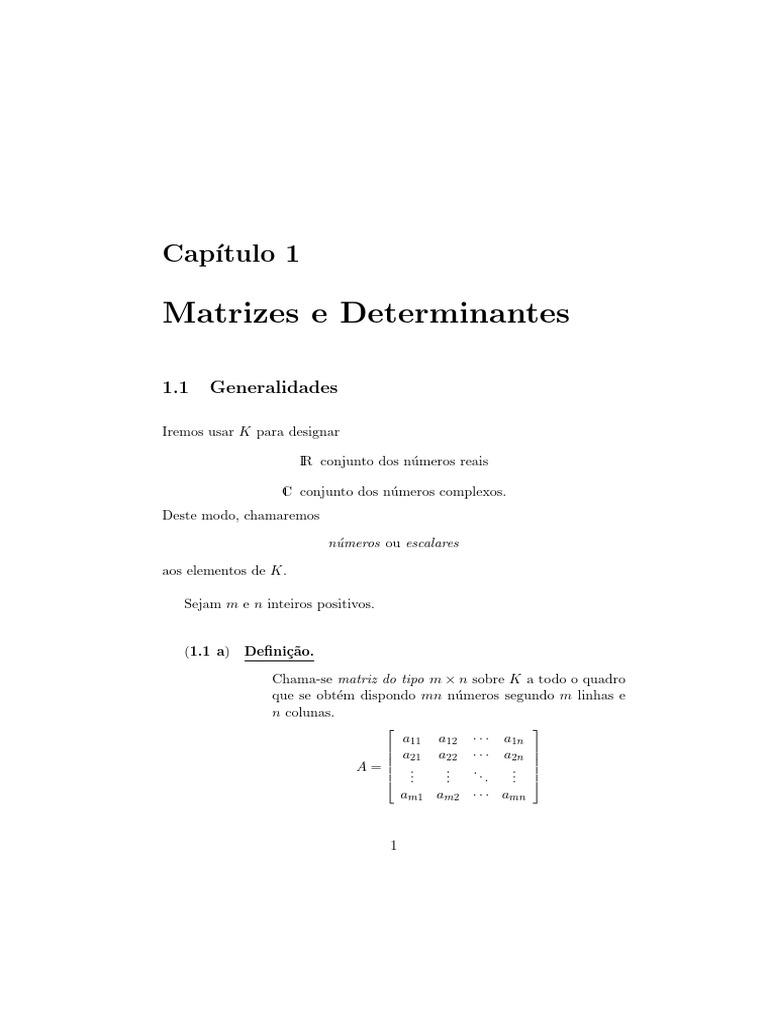 Matrizes e Determinantes 2024 - 3 | PDF | Matriz (Matemática) | Matemática