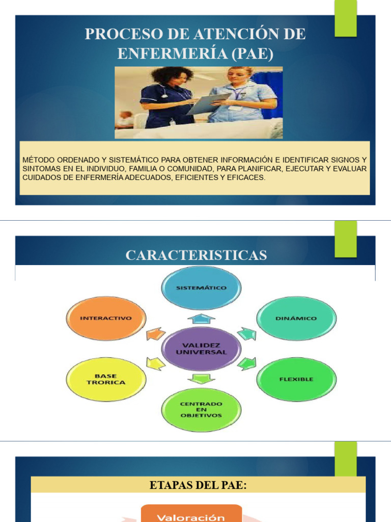 Lección 1-Proceso de Atención de Enfermería (Pae) | PDF | Medicina ...