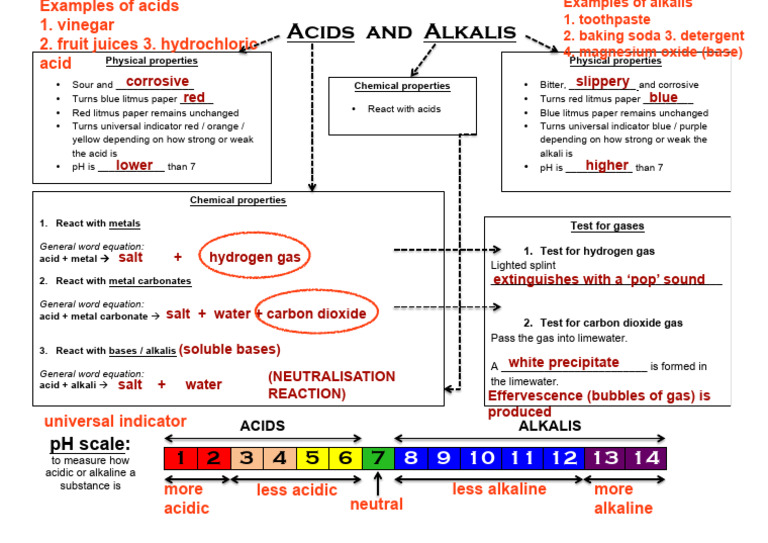 Acids and Alkalis (Concept Map) | PDF | Acid | Chemical Reactions