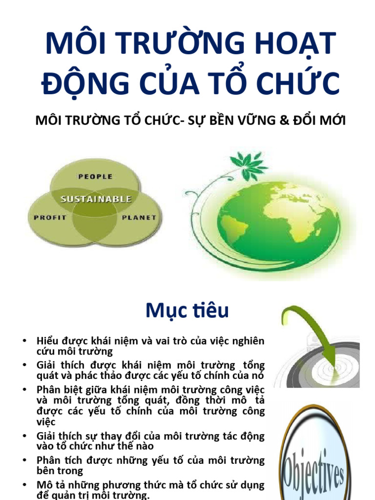 Chuong 3-Moi Truong To Chuc | PDF