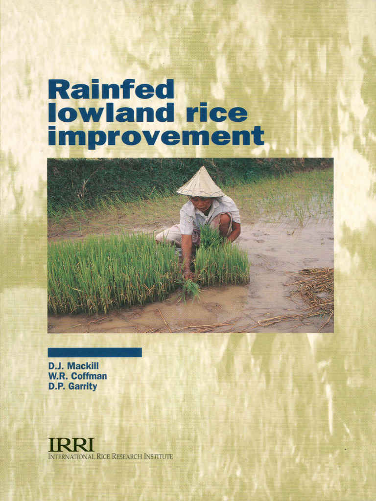 Rainfed Lowland Rice Improvement | PDF | Rice | Plant Breeding