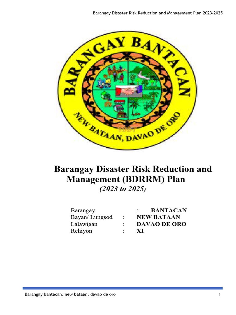 BDRRMP Bantacan 2 | PDF | Emergency Management | Natural Disasters