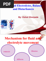 Inpatient Electrolyte Repletion Guidelines | PDF | Magnesium | Clinical ...