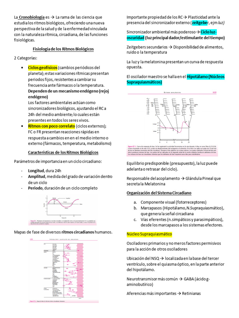 Ritmos Biológicos | PDF | Ritmo circadiano | Medicamentos con receta