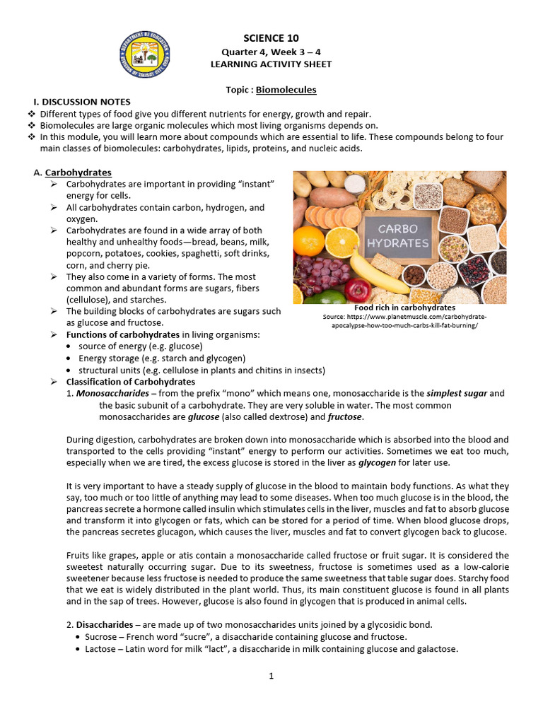 Quarter 4, Week 3 - 4 Learning Activity Sheet Biomolecules I ...