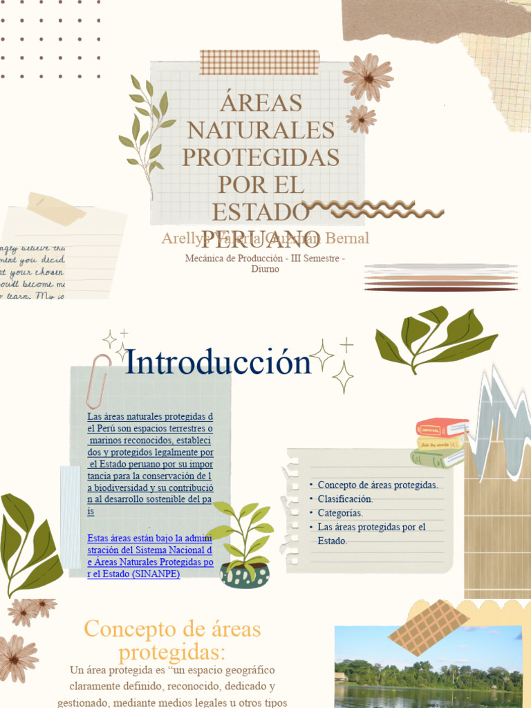 Áreas Naturales Protegidas en Perú | PDF | Área protegida | Biodiversidad