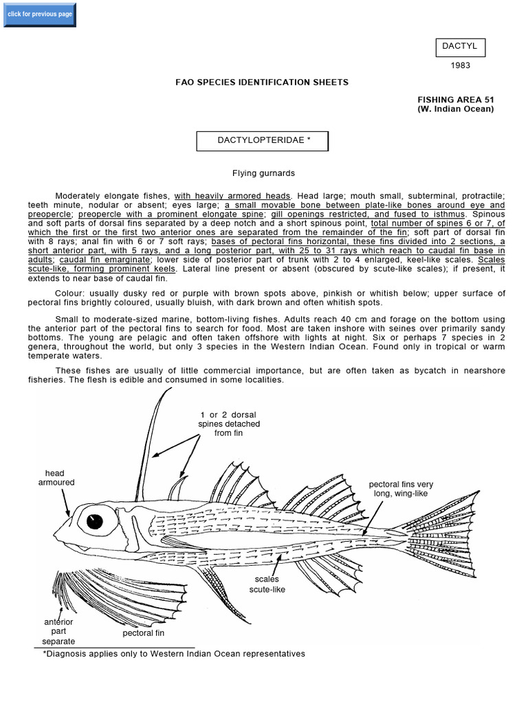 Fao Species Identification Sheets Fishing Area 51 (W. Indian Ocean ...