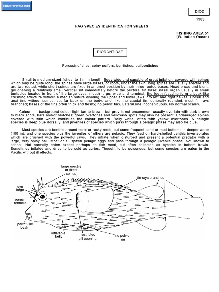 Fao Species Identification Sheets Fishing Area 51 (W. Indian Ocean ...