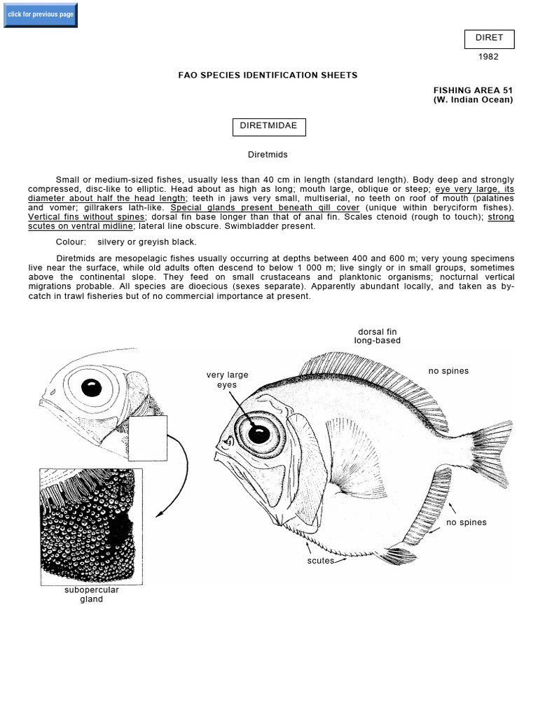 Fao Species Identification Sheets Fishing Area 51 (W. Indian Ocean ...