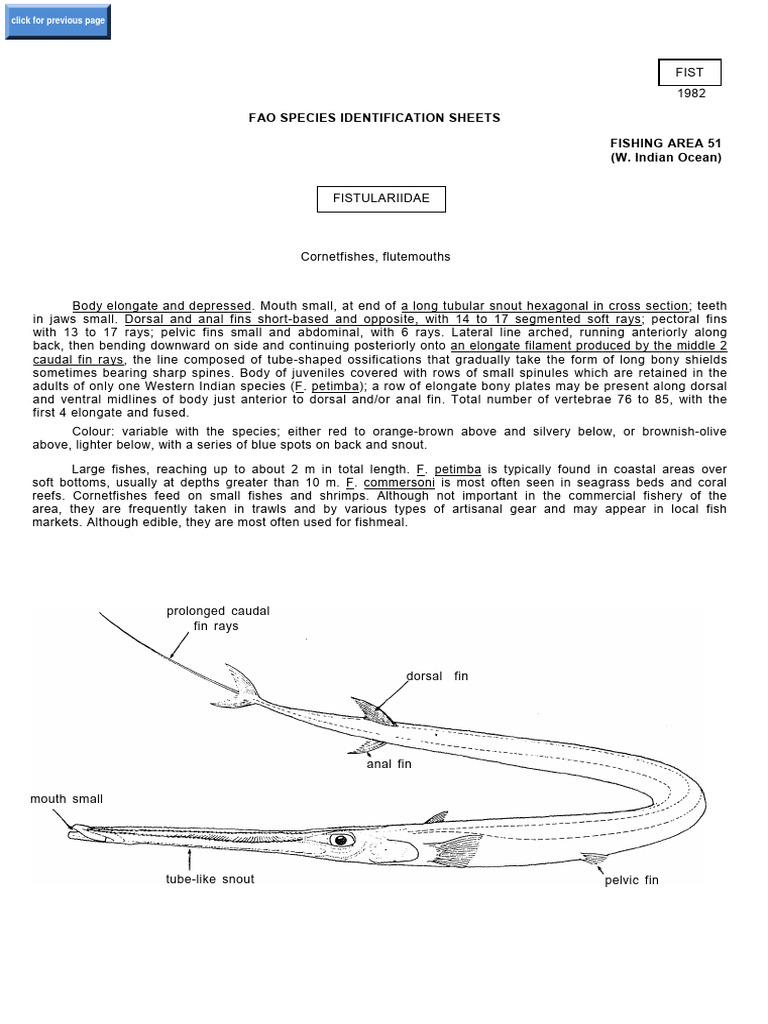 Fao Species Identification Sheets Fishing Area 51 (W. Indian Ocean ...