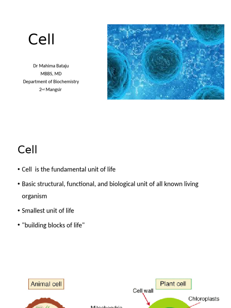 Bio 4.cell | Download Free PDF | Cell Membrane | Endoplasmic Reticulum