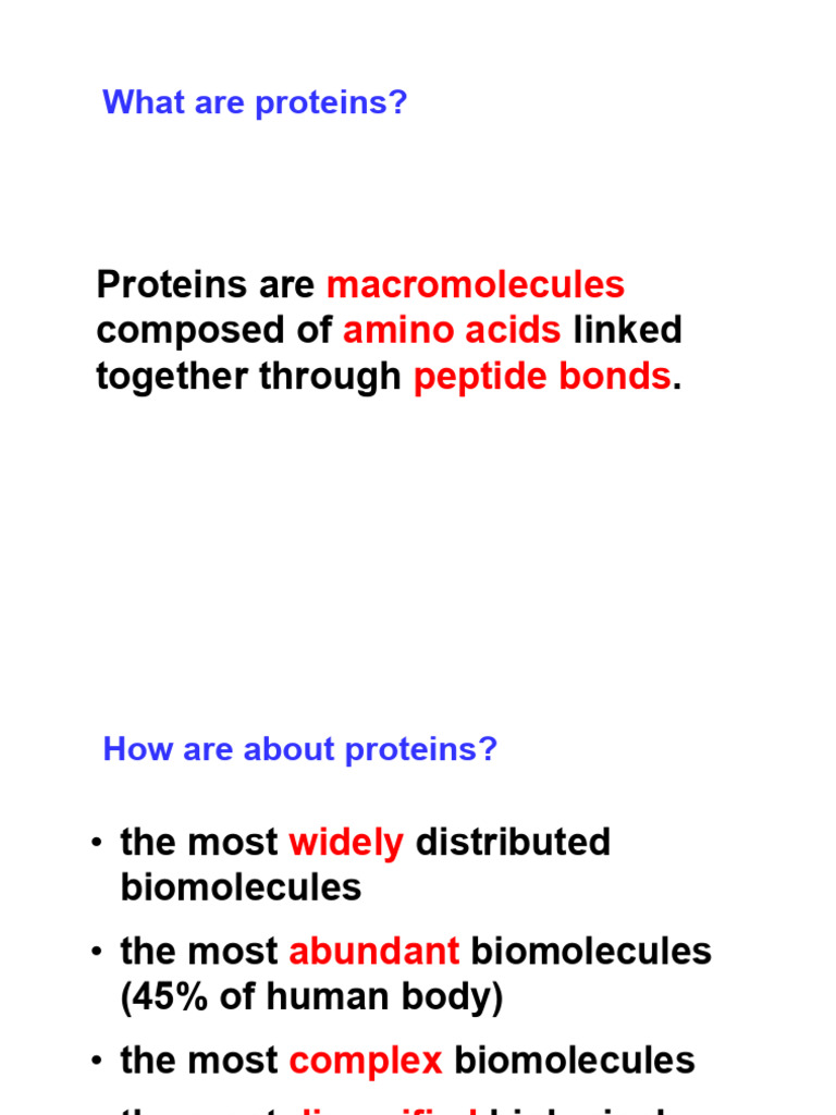 Bio 1.proteins | PDF | Amino Acid | Proteins
