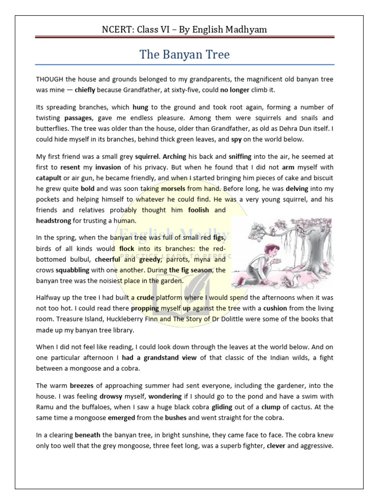 The Banyan Tree | PDF | Verb | Adjective