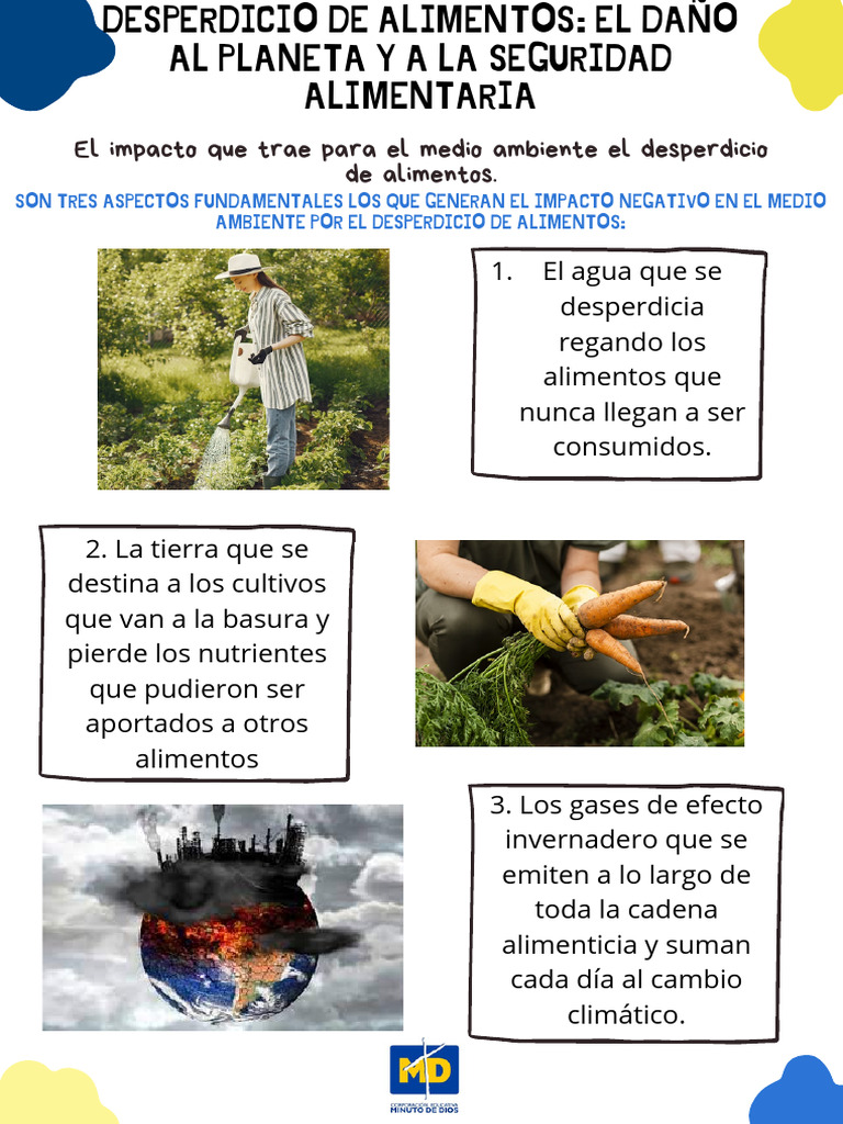 Desperdicio de Alimentos | PDF | Alimentos | Nutrición