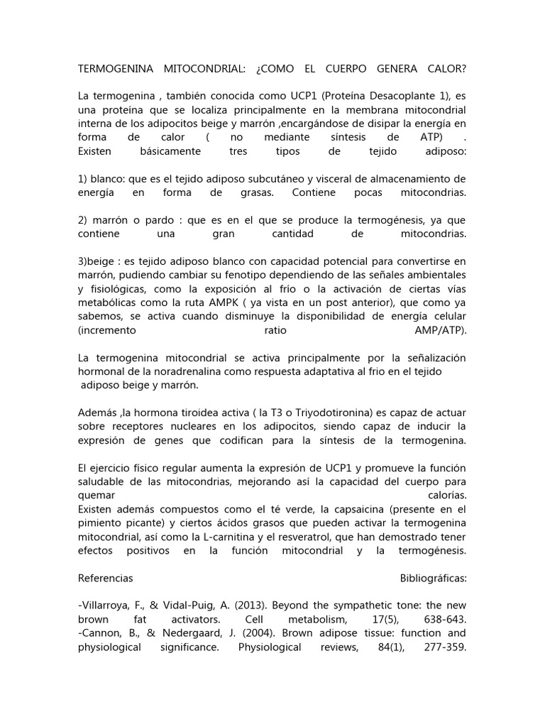 Termogenina: Calor y Metabolismo Mitochondrial | PDF | Mitocondria ...