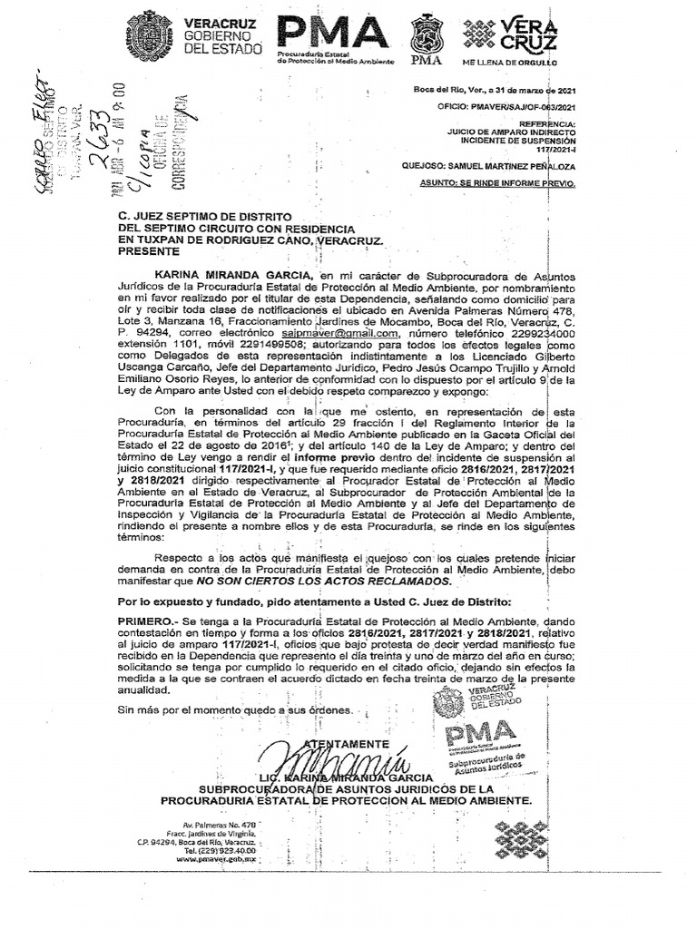 Informe Previo PMA | PDF