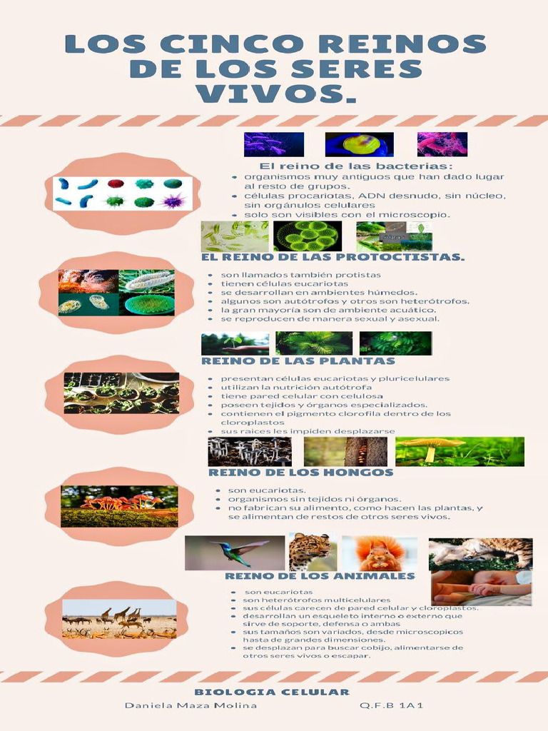 Scan 25 Abr. 24 22 16 42 | PDF