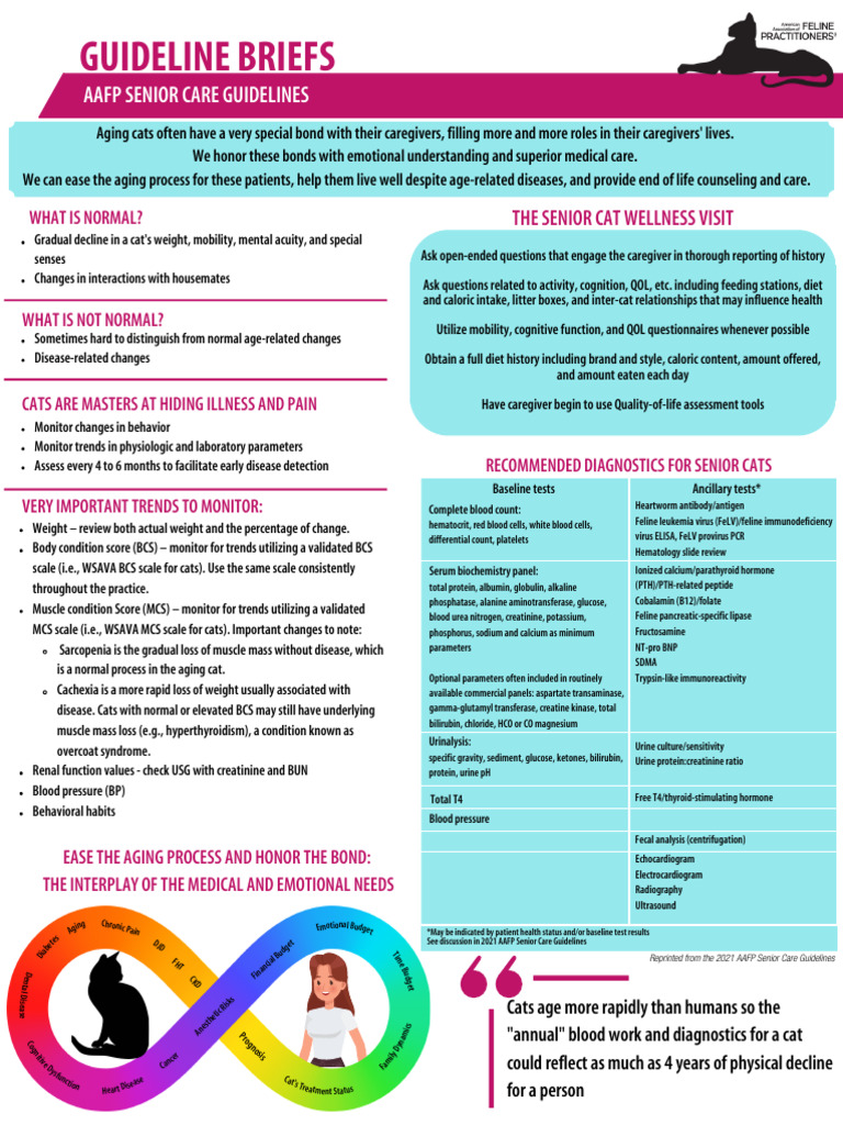 Senior Care Guideline Brief | PDF | End Of Life Care | Caregiver
