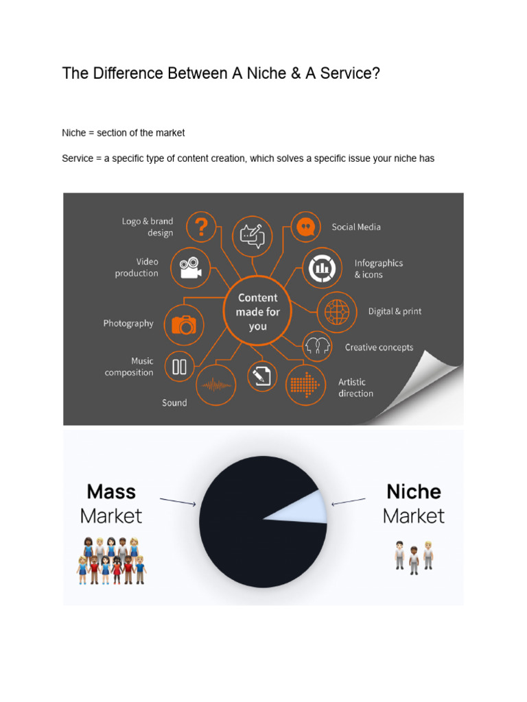 The Difference Between A Niche & A Service | PDF