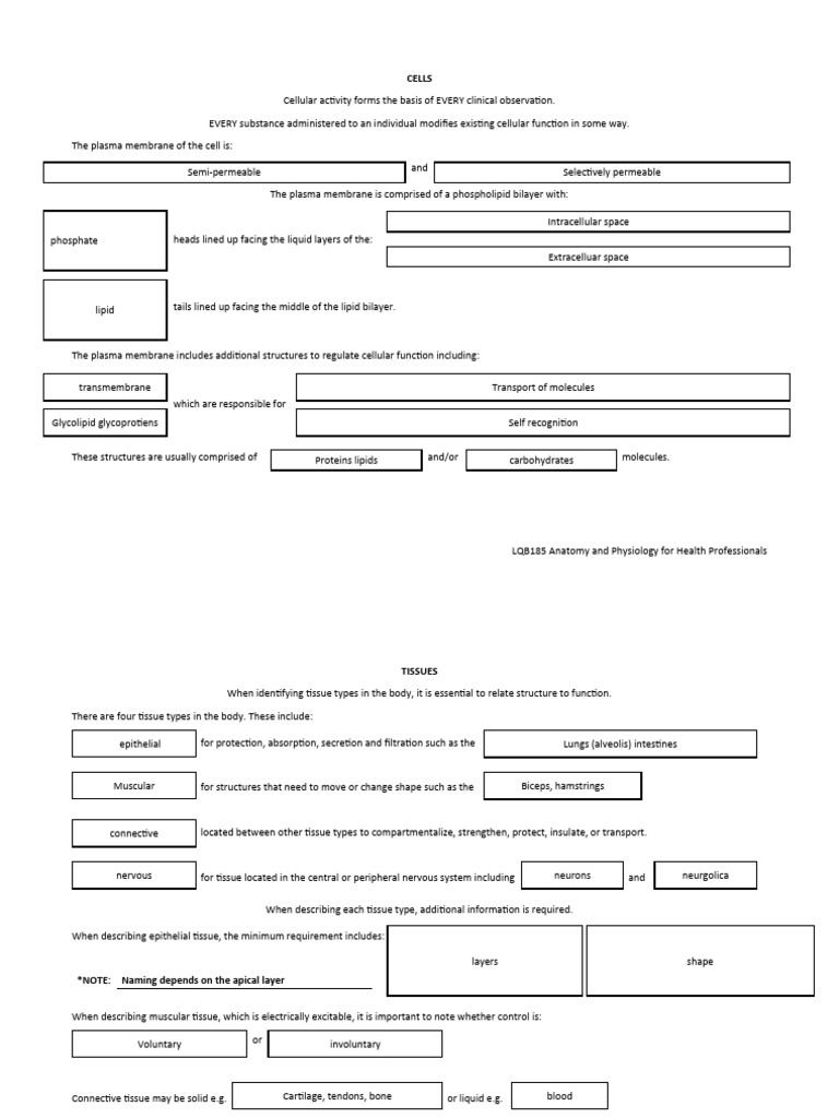 Cells&Tissues Worksheet | PDF | Cell Membrane | Tissue (Biology)