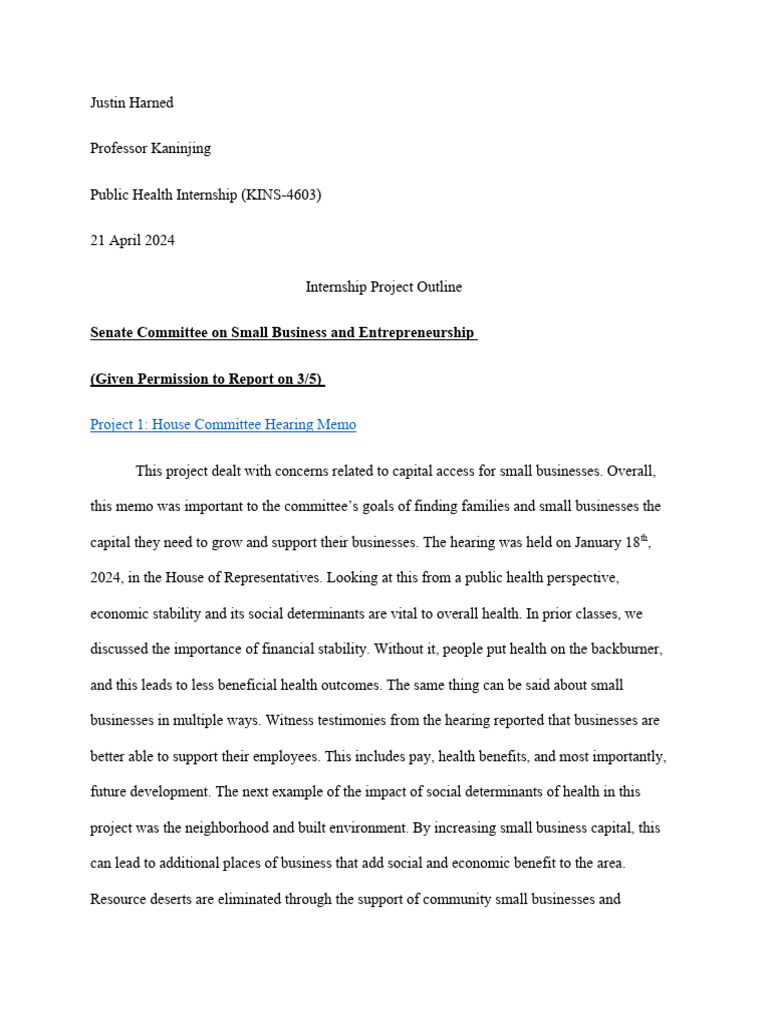 Internship Project Document | Download Free PDF | Entrepreneurship | Small Business Administration