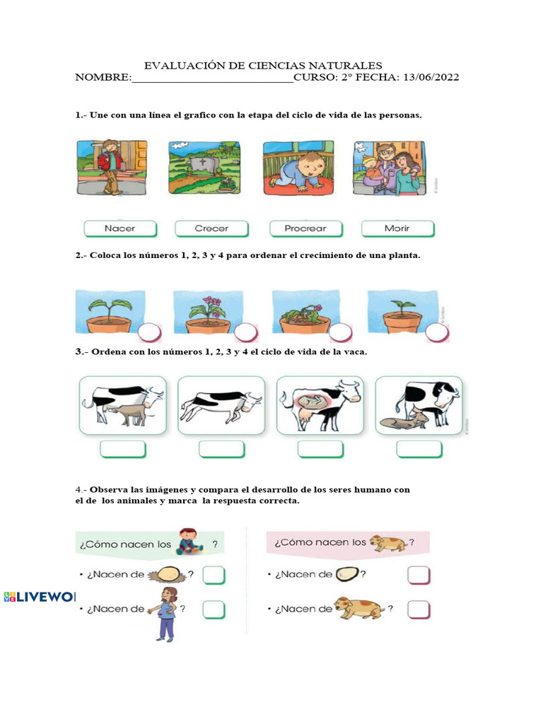 Evaluacion Del Ciclo de Vida | PDF | Rana | Huevo
