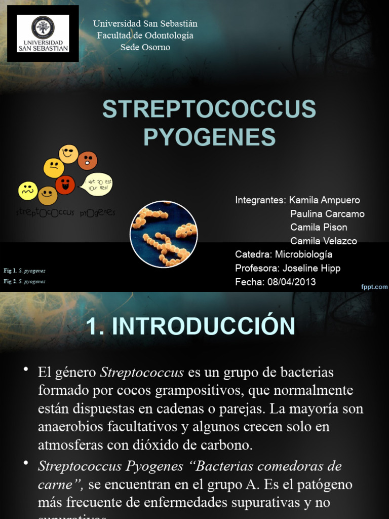 Streptococcus Pyogenes | PDF | Estreptococo | Biología