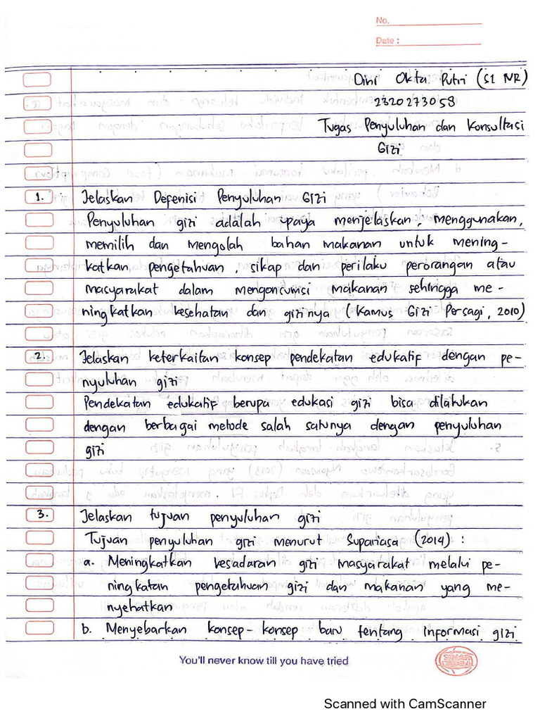 Dini Okta Putri Tugas PKG | PDF