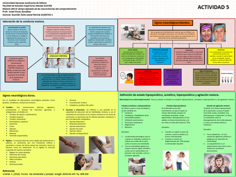 Conducta Motora | PDF | Las emociones | Neurología