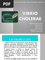 Monografia Vibrios | PDF | Cólera | Diarrea