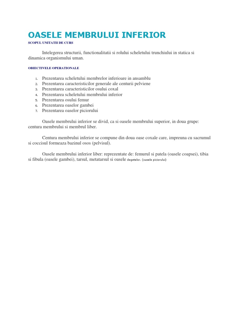 Oasele Membrului Inferior | PDF