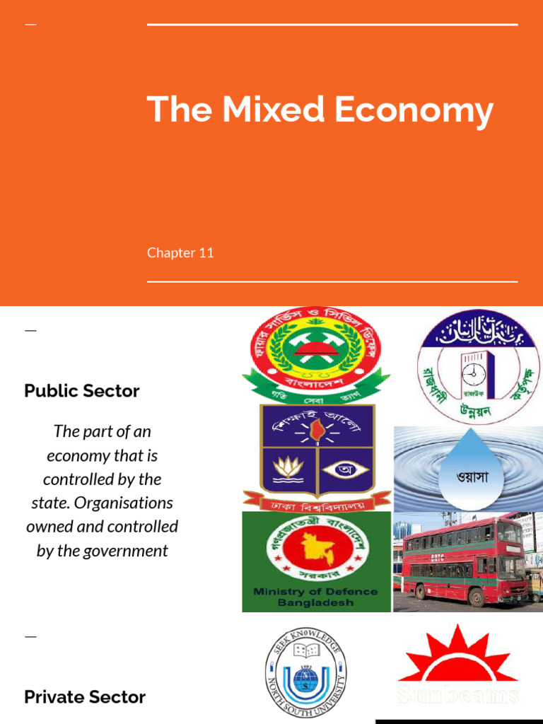 Mixed Economy: Public vs. Private Sectors | PDF | Cost Of Living ...