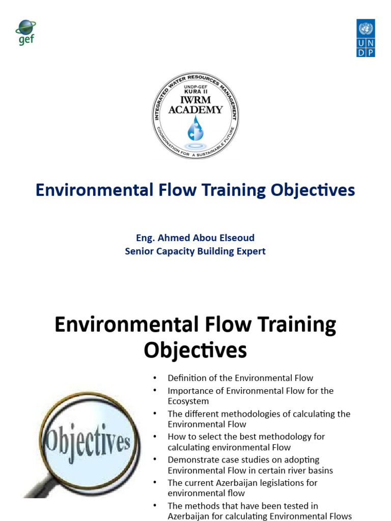 01 - EFlow Training - Session 1 - Main Objectives of The Training and General Outline | PDF | Art
