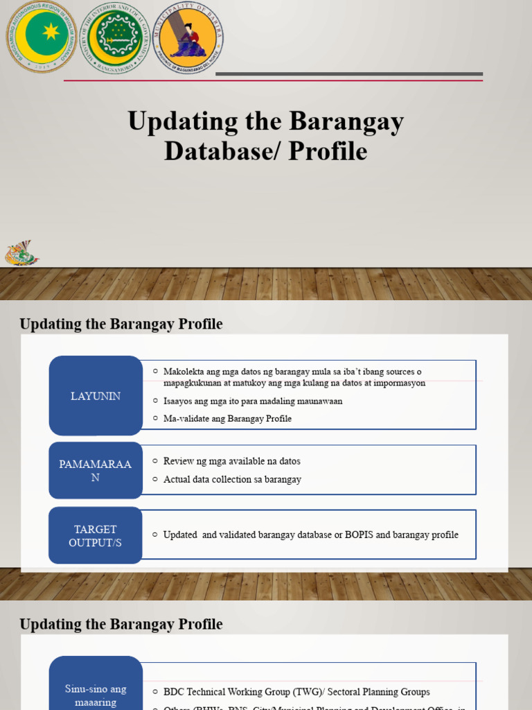 Updating The Barangay Database | PDF