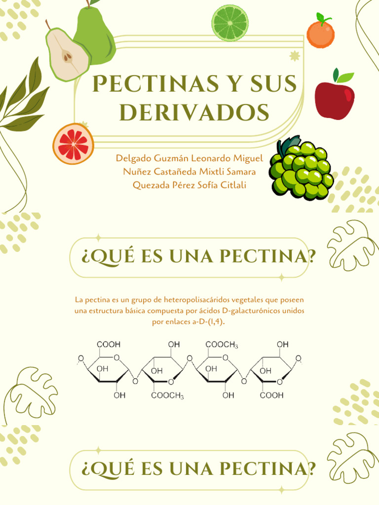 Equipo3 Pectinas | Descargar gratis PDF | Ácido | Química