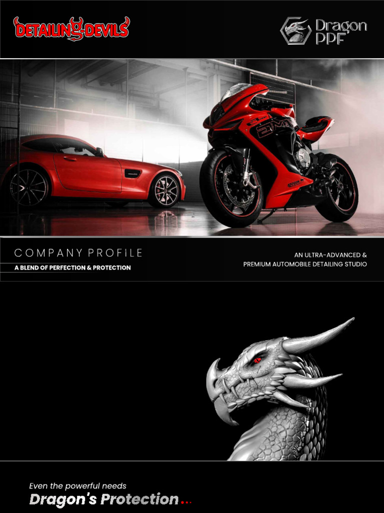 dd-company-profile-2023 | PDF