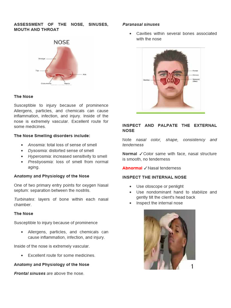 Assessment of The Nose | Download Free PDF | Human Nose | Tongue