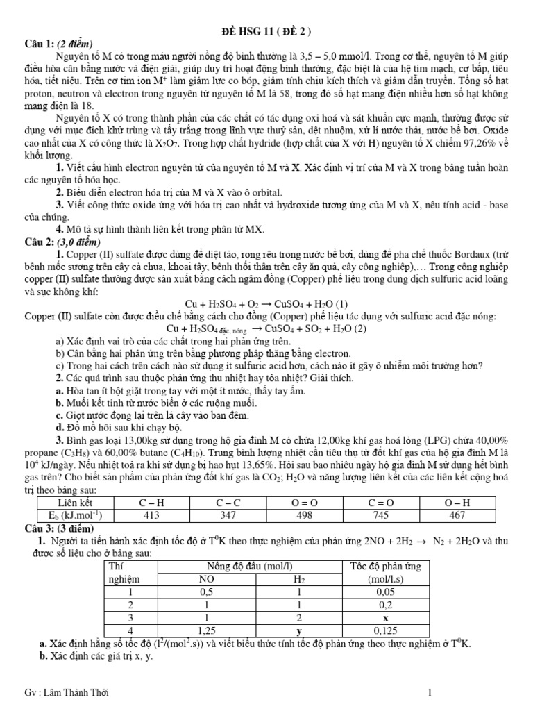 Đề HSG Hoá 11 HS | PDF