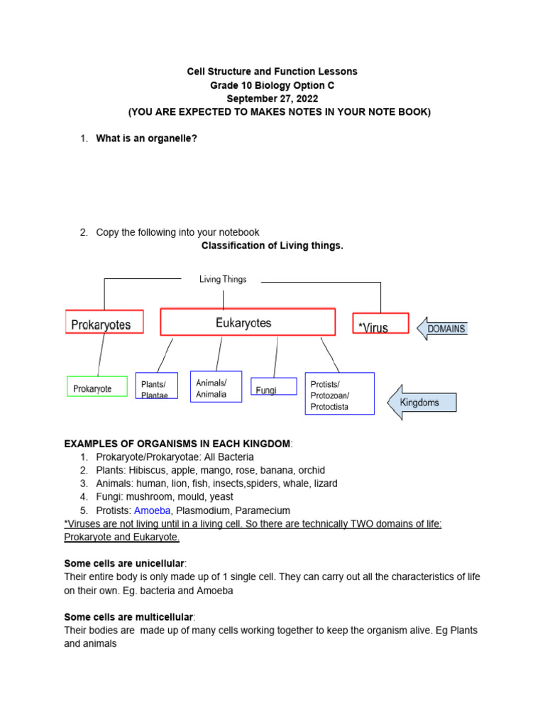 Cell Organization and Structure (Option C) | Download Free PDF | Cell ...