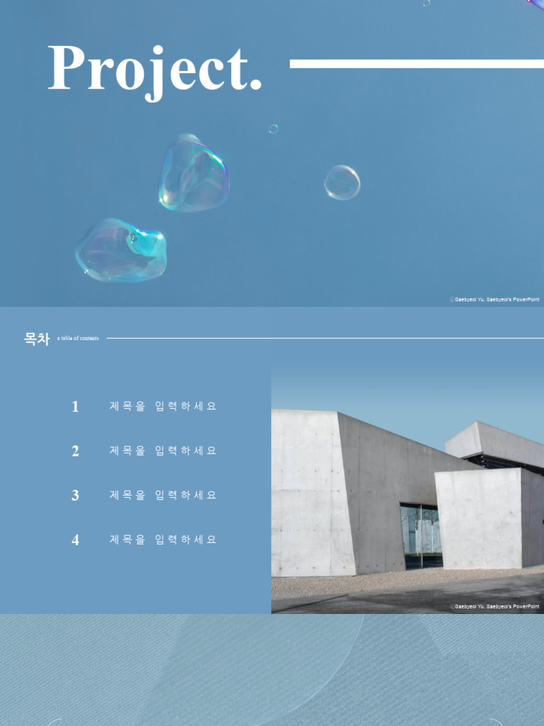 BRANDNEWDAYS SBPPT | PDF