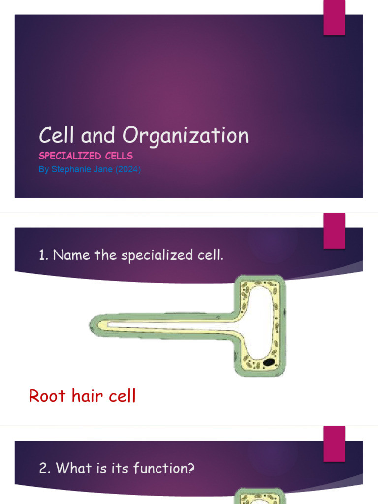 Specialized Cells and Their Functions | PDF | Biology | Anatomy
