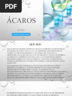 Ácaros del polvo: Dermatophagoides y Euroglyphus | PDF | Alergia