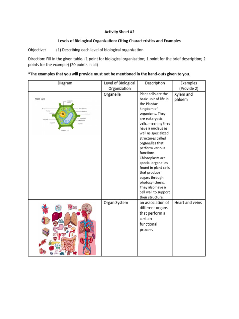 Activity 2 - Levels of Biological Organization Week 4 | PDF | Plants ...