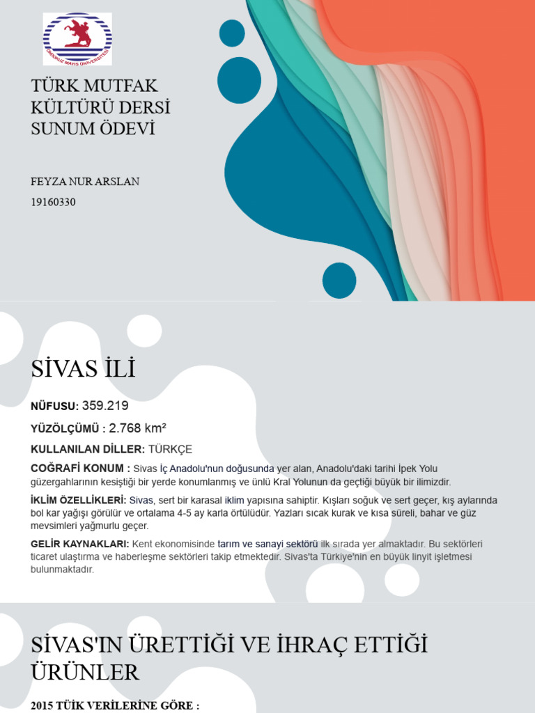 Feyza Nur Arslan Si̇vas Sunumu | PDF