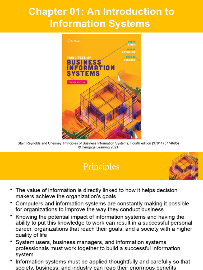 CHAPTER 1 | PDF | Information System | Information