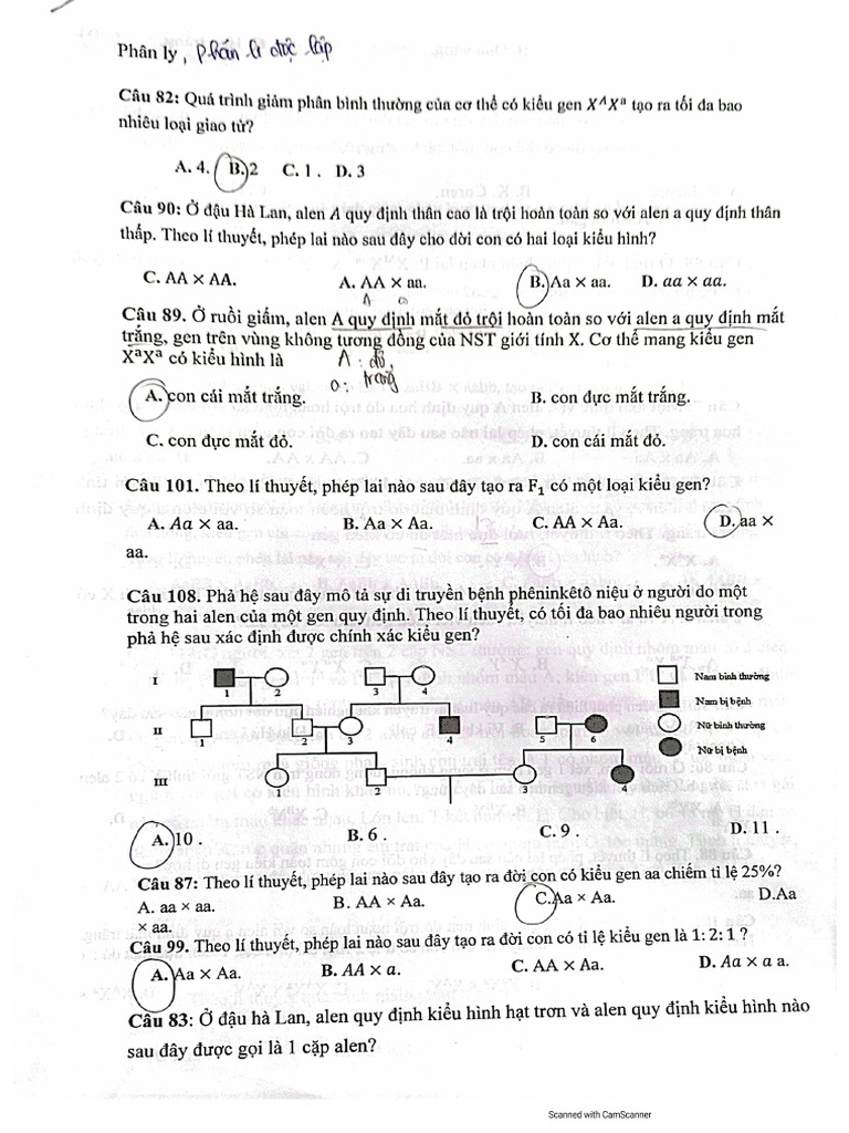 Đề cg sinh gk2 | PDF