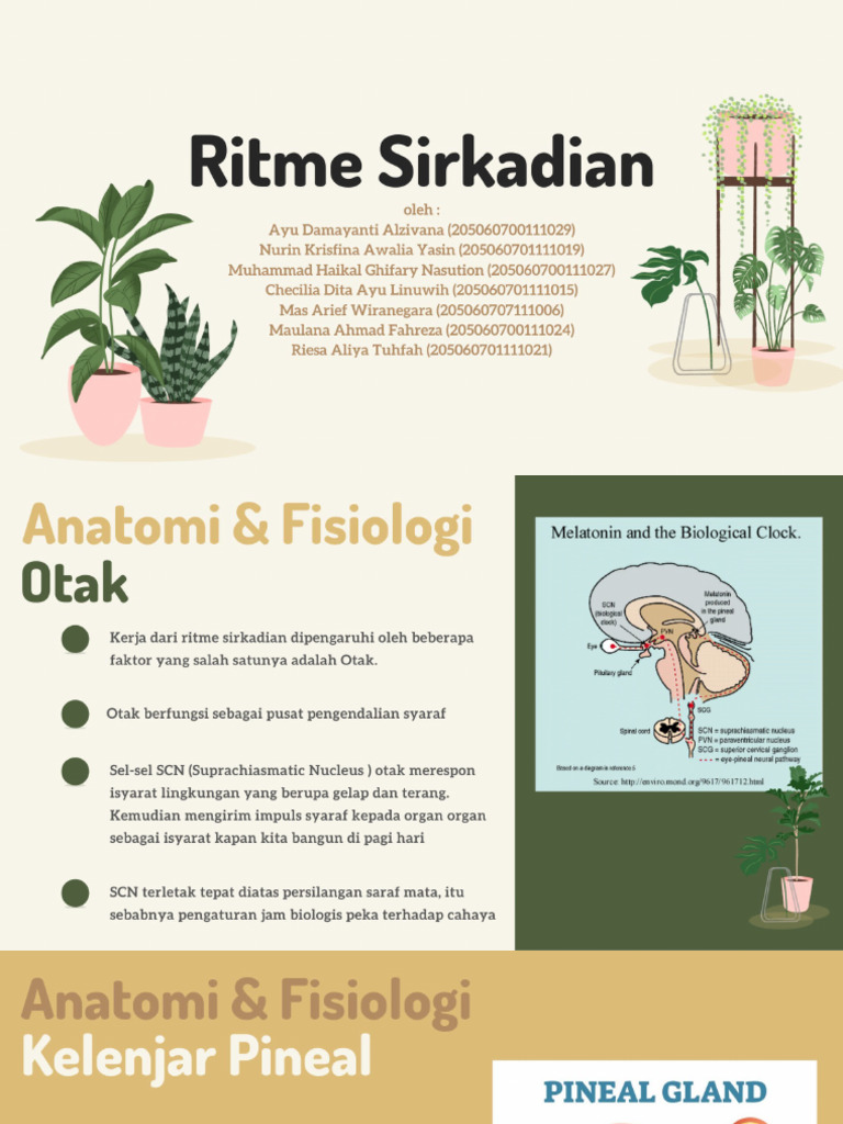 Ritme Sirkadian | PDF