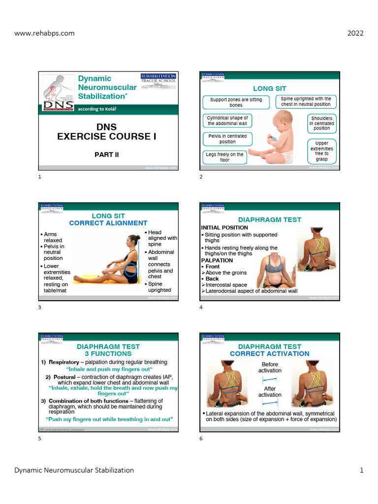 Exercise i Part 2 | PDF | Anatomical Terms Of Motion | Pelvis